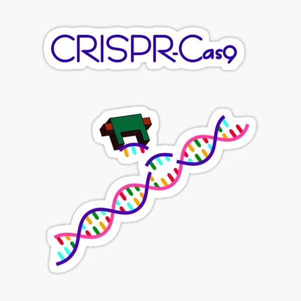 "Crispr cas9 gene editing" Sticker for Sale by Red-Demand | Redbubble