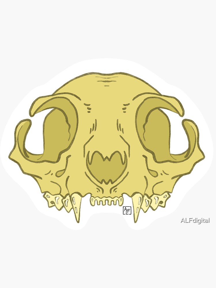 "Cat Skull" Sticker for Sale by ALFdigital | Redbubble