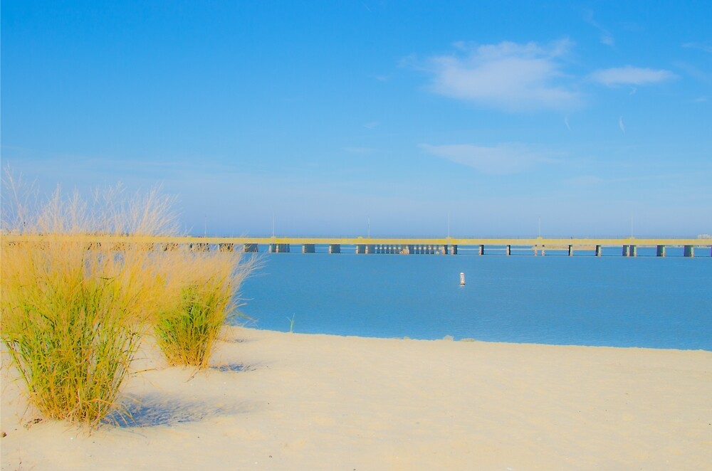 "Stinky Beach - Ocean City, Maryland" by JerryINOCMD | Redbubble