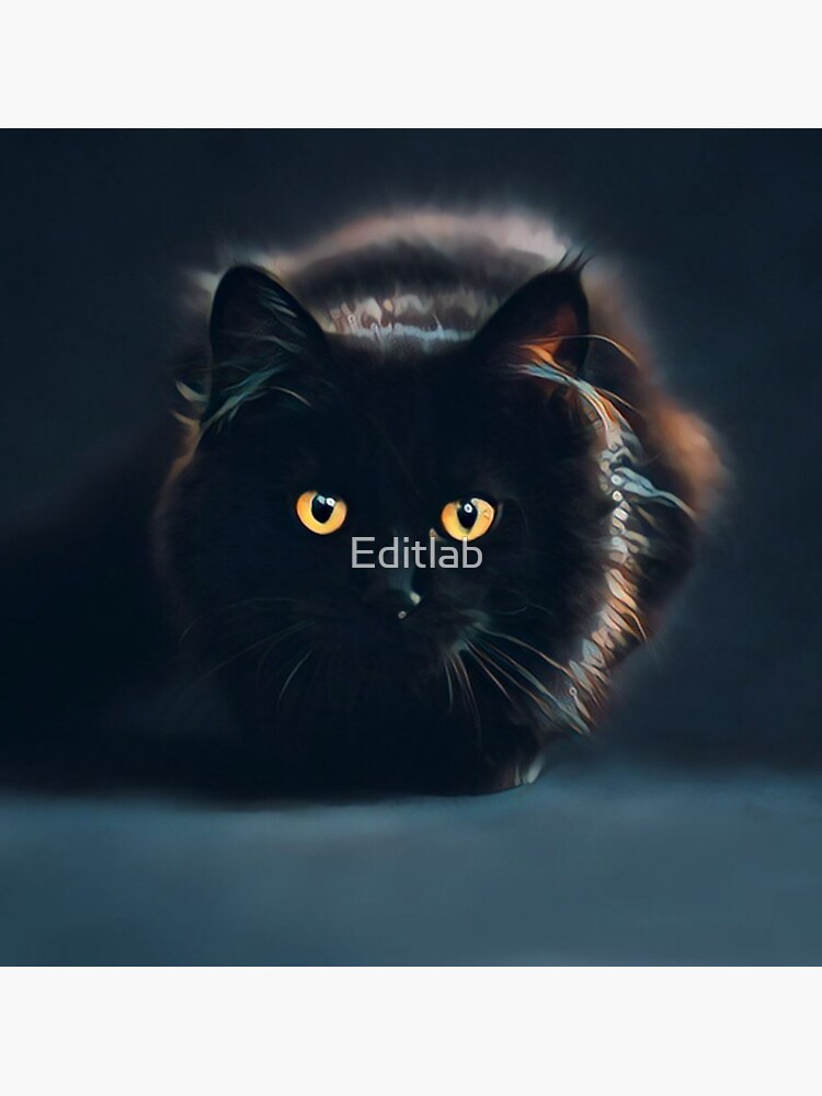 "Eyepatch Cat" Sticker for Sale by Editlab | Redbubble