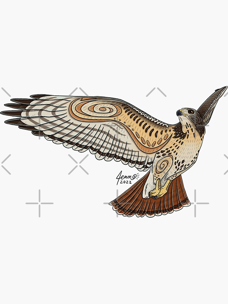 "Red-tailed Hawk" Sticker for Sale by Corvus-latrans | Redbubble