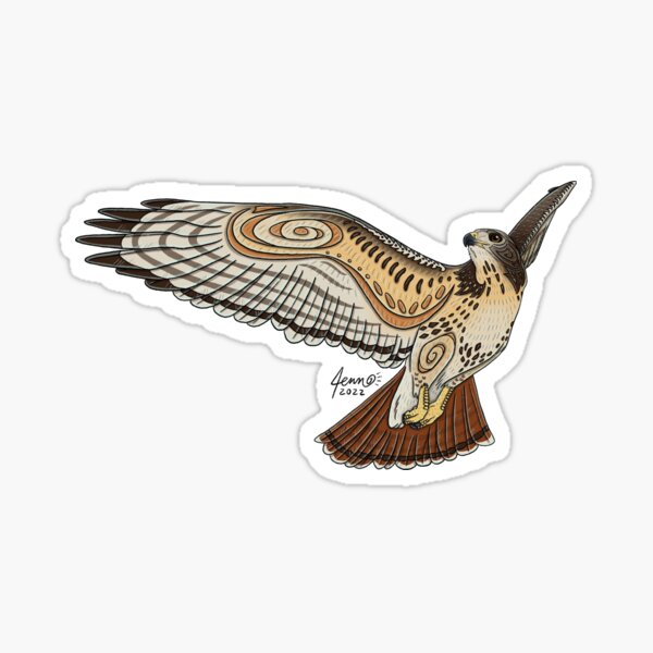 "Red-tailed Hawk" Sticker for Sale by Corvus-latrans | Redbubble