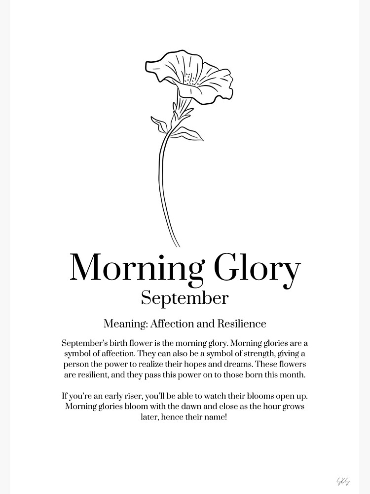 "Birth Flower September - Morning Glory " Sticker for Sale by ...
