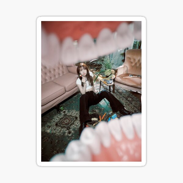 "RED VELVET BIRTHDAY WENDY" Sticker for Sale by BBIZZ | Redbubble