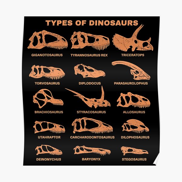 "dinosaur fossils" Poster for Sale by NicGrayGraphic | Redbubble