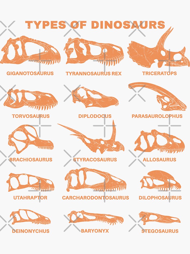 "dinosaur fossils" Sticker for Sale by NicGrayGraphic | Redbubble