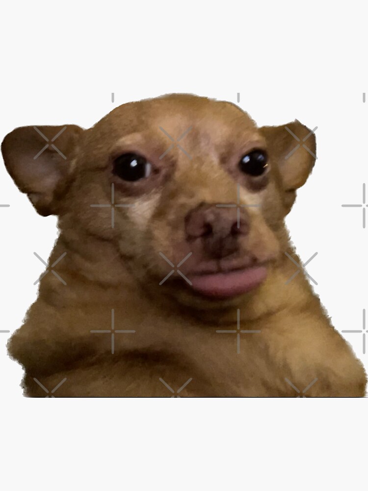 "Blep Dog" Sticker for Sale by Cheddariniii | Redbubble