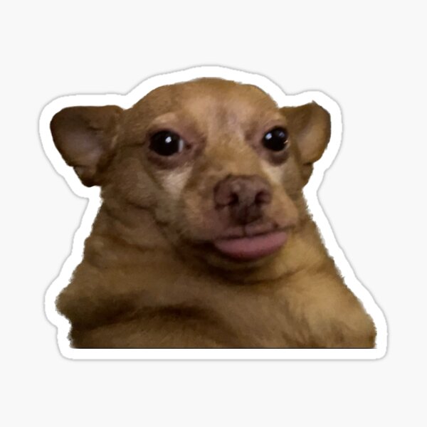 "Blep Dog" Sticker for Sale by Cheddariniii | Redbubble