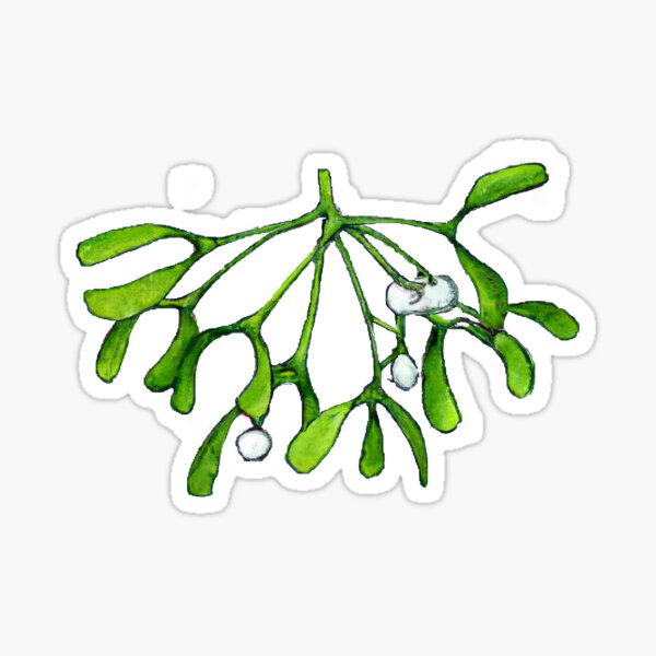 "Mistletoe watercolor " Sticker for Sale by Yoda-Kaku | Redbubble