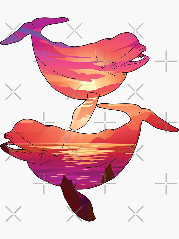 "Beluga Whales Sunrise Scene" Sticker for Sale by damonasplace | Redbubble