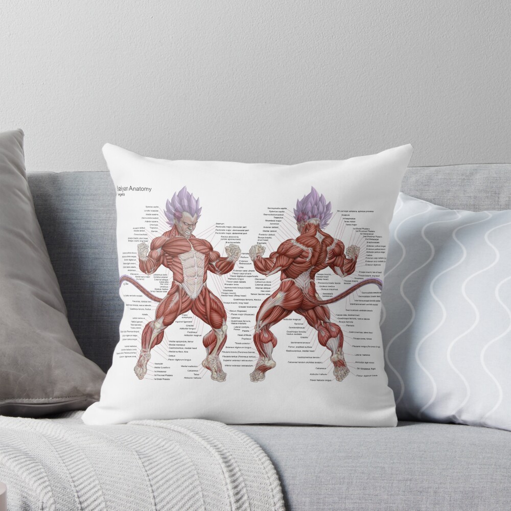 "Saiyan Anatomy - Vegeta - F/B - Red - Wbg" Poster for Sale by jayzidon ...