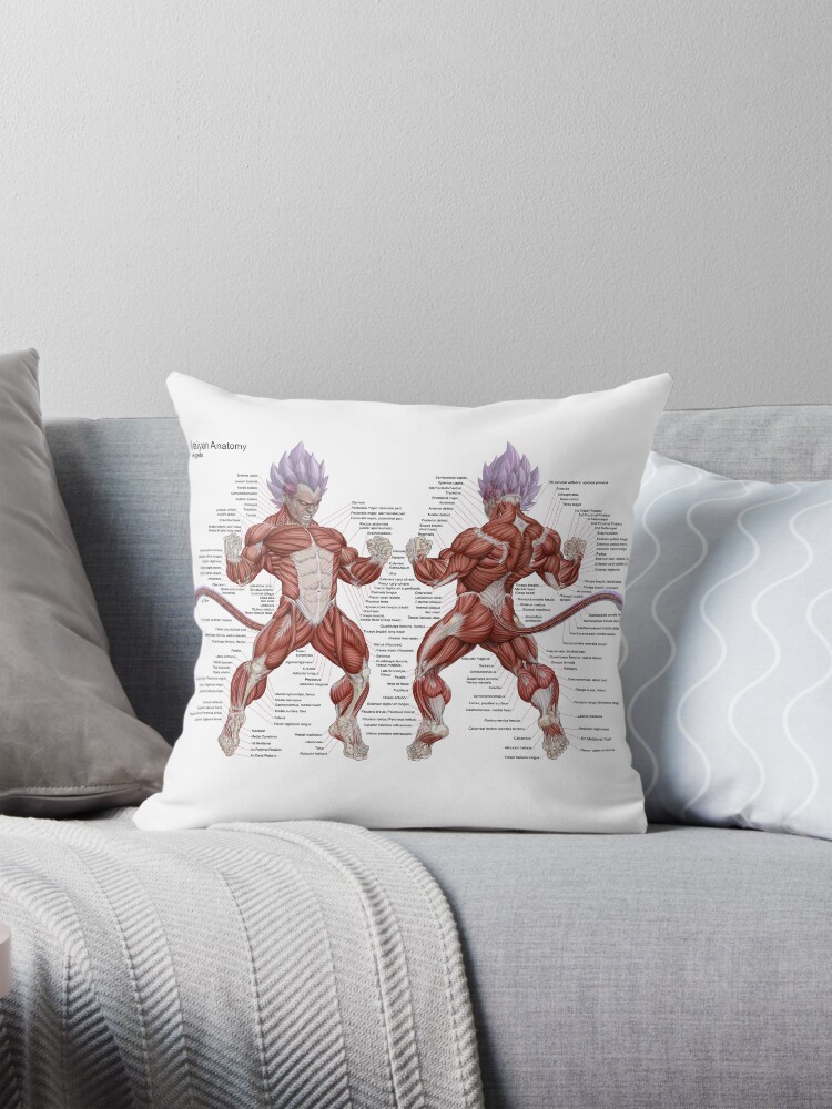 "Saiyan Anatomy - Vegeta - F/B - Red - Wbg" Art Print for Sale by ...