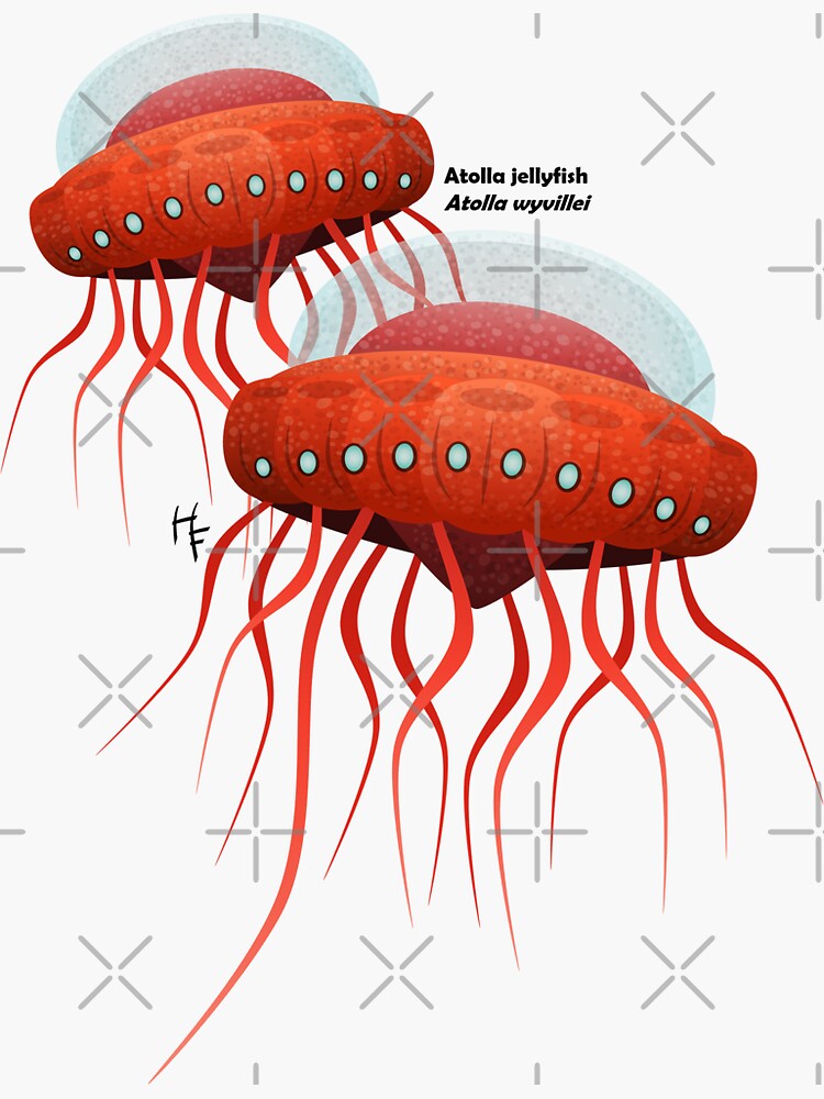 Sticker « Sous-marin de l'équipe Atolla Méduse (Atolla wyvillei) », par ...