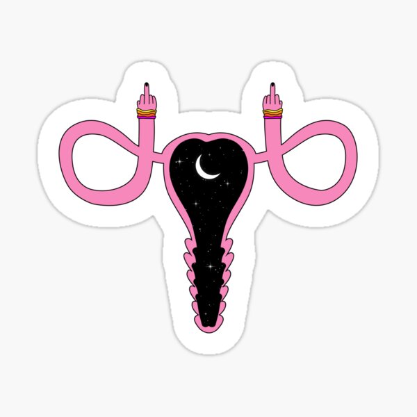 "Funny Middle Finger Uterus Space" Sticker for Sale by kaeaste98 ...