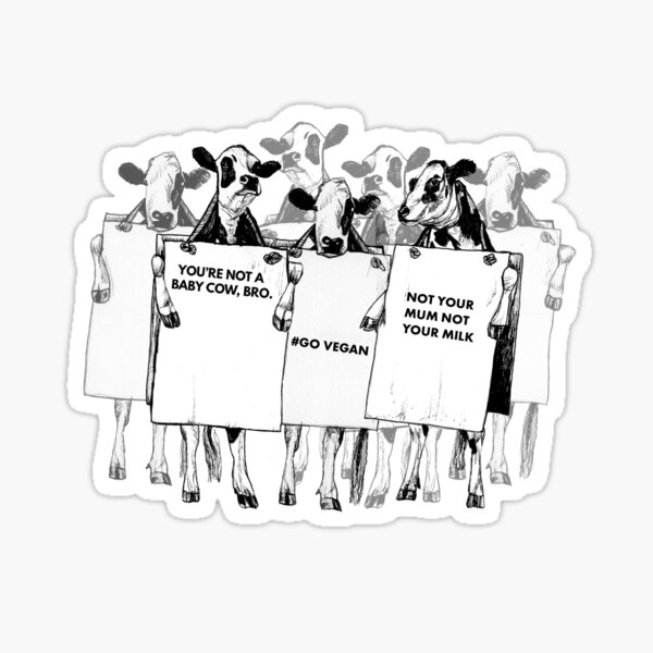 Cow Protest Sticker For Sale By Ricedrawings Redbubble