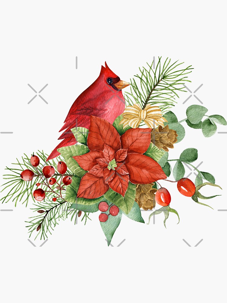 "Watercolor Christmas Red Cardinal and Poinsettia Flower" Sticker for ...