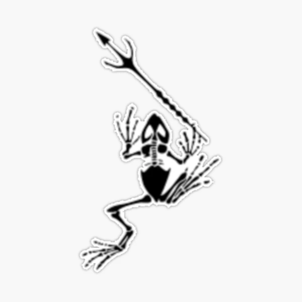 Navy Seal Frogman Logo US NAVY SEALS FROGMAN VELCRO® BRAND HOOK PVC