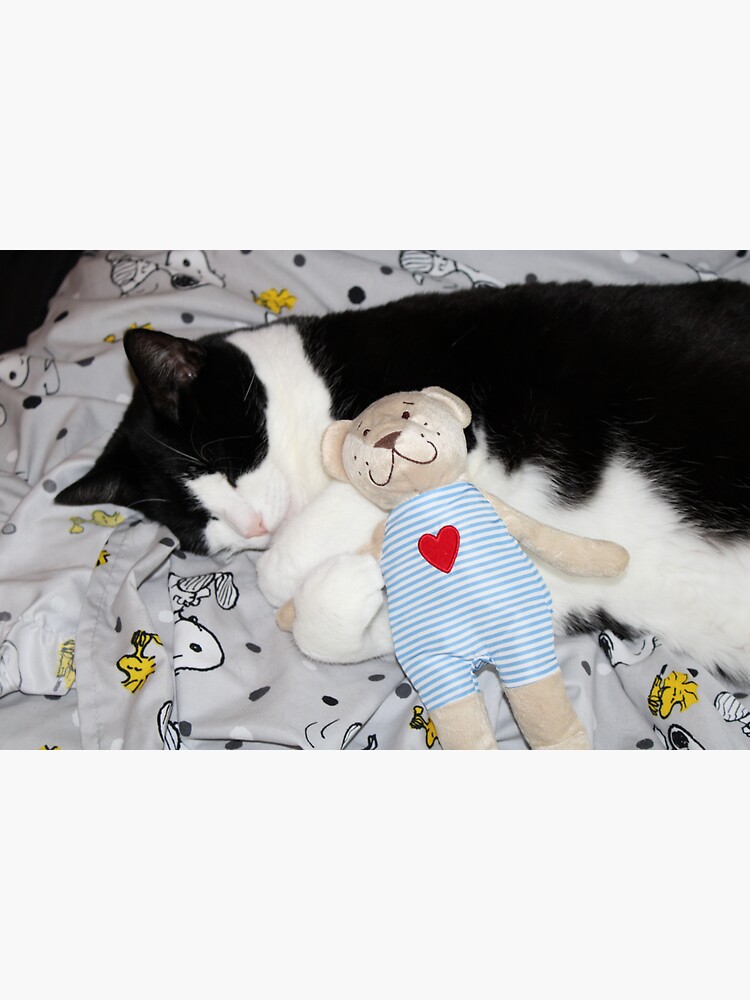 "Cute Tabby Cat Sleeping with Teddy Bear~ Photo Art by Rockn Palette ...