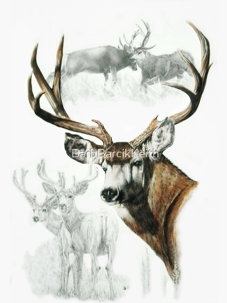 "Mule Deer Collage" Art Print by BarbBarcikKeith | Redbubble