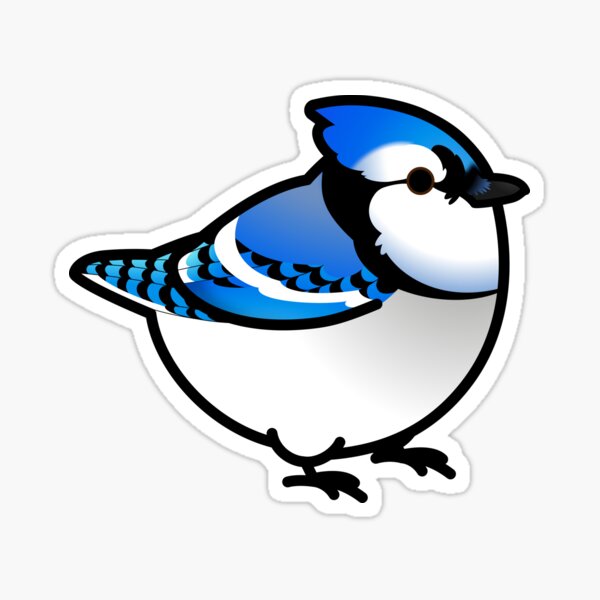 "Chubby Blue Jay" Sticker for Sale by birdhism | Redbubble