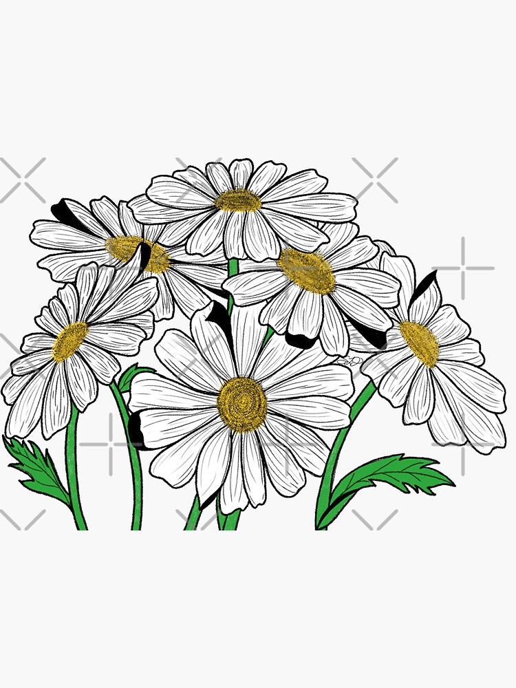 "Daisies" Sticker for Sale by YouMatterAlways | Redbubble