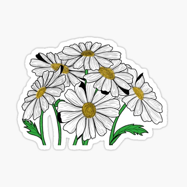 "Daisies" Sticker for Sale by YouMatterAlways | Redbubble