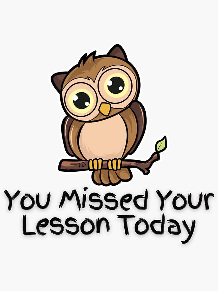 "You Missed Your Lesson Today " Sticker for Sale by DalinCustom | Redbubble