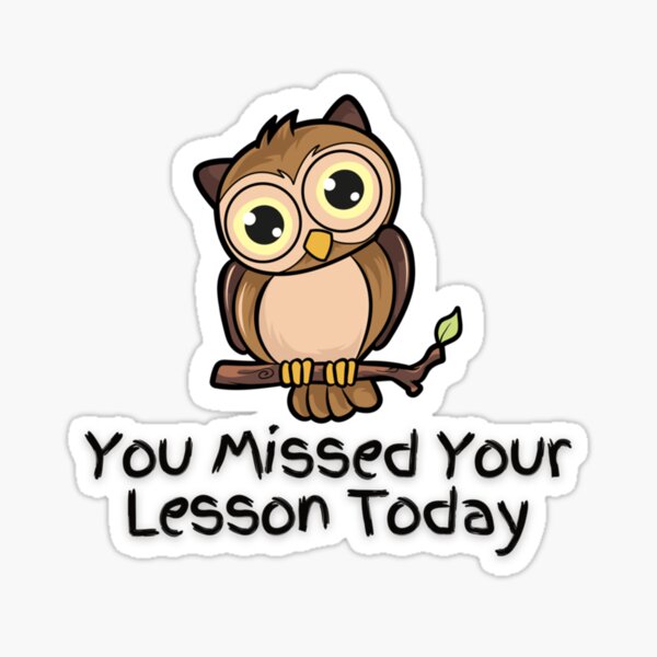 "You Missed Your Lesson Today " Sticker for Sale by DalinCustom | Redbubble