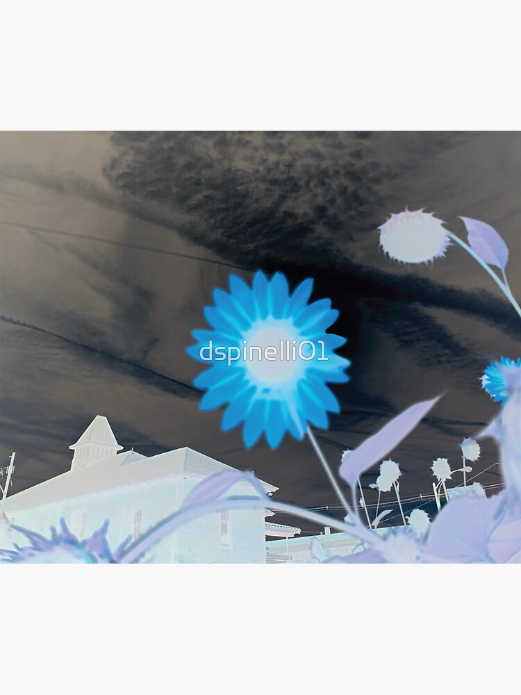 "Inverted Blue Flower Dark Sky" Sticker for Sale by dspinelli01 | Redbubble