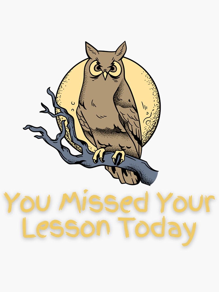 "You Missed Your Lesson Today " Sticker for Sale by DalinCustom | Redbubble