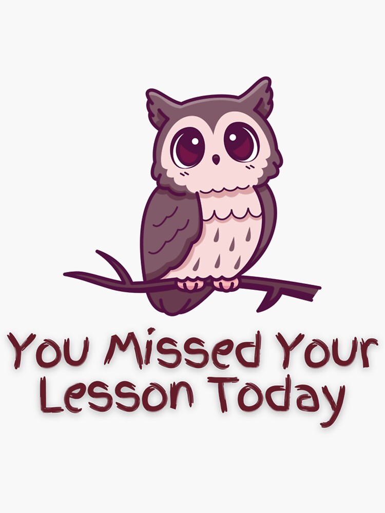 "You Missed Your Lesson Today " Sticker for Sale by DalinCustom | Redbubble