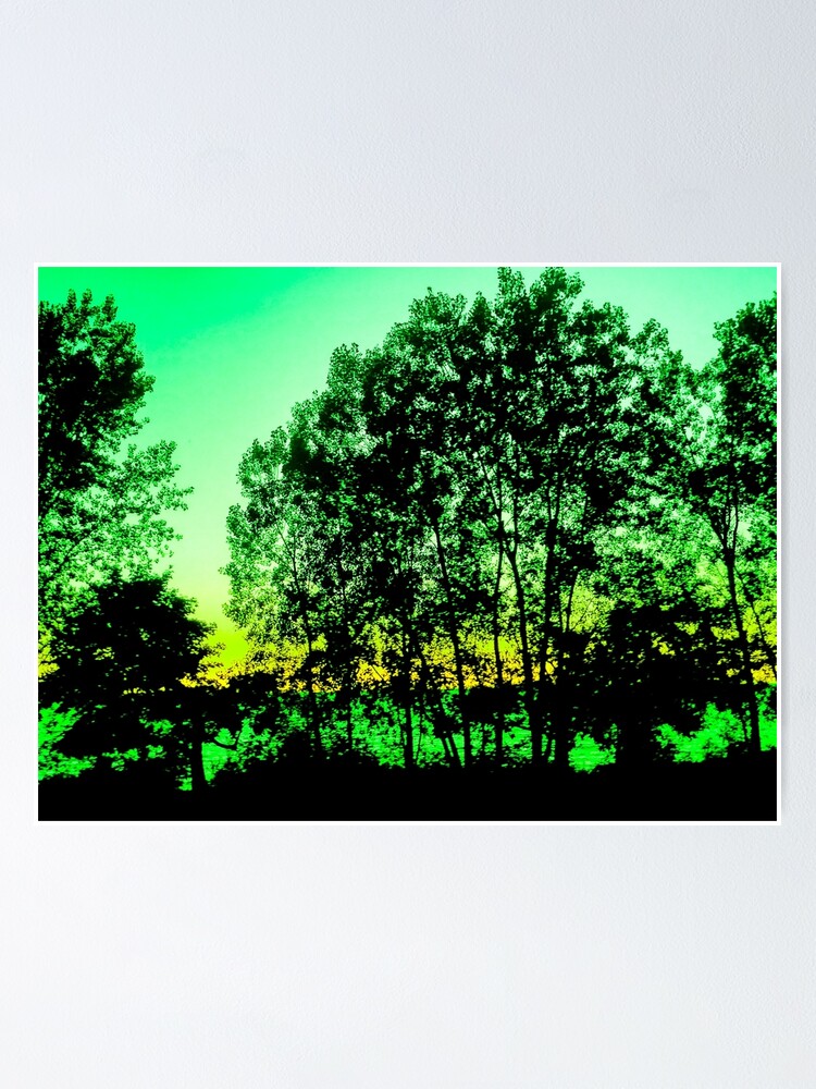 "Colorized Green Forest Sunset over Lake Erie" Poster for Sale by ...