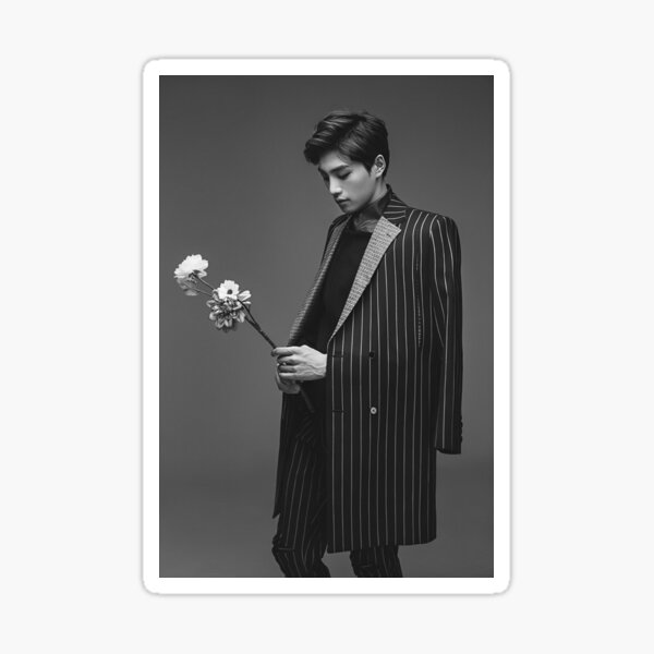 "Kim Jae Young" Sticker for Sale by TheJinYoung | Redbubble