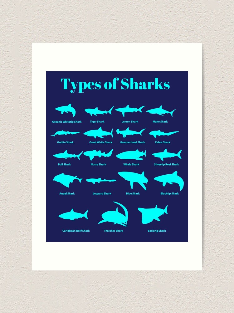 "Types Of Sharks Shark Chart" Art Print for Sale by banwa | Redbubble