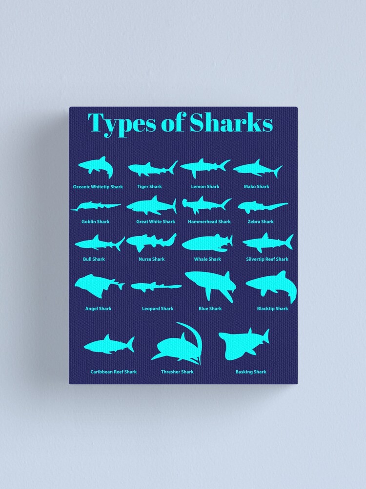 "Types Of Sharks Shark Chart" Canvas Print for Sale by banwa | Redbubble