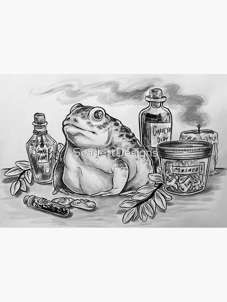 "The Witch's Toad | ScarlettDesigns" Canvas Print by ScarlettDesigns ...