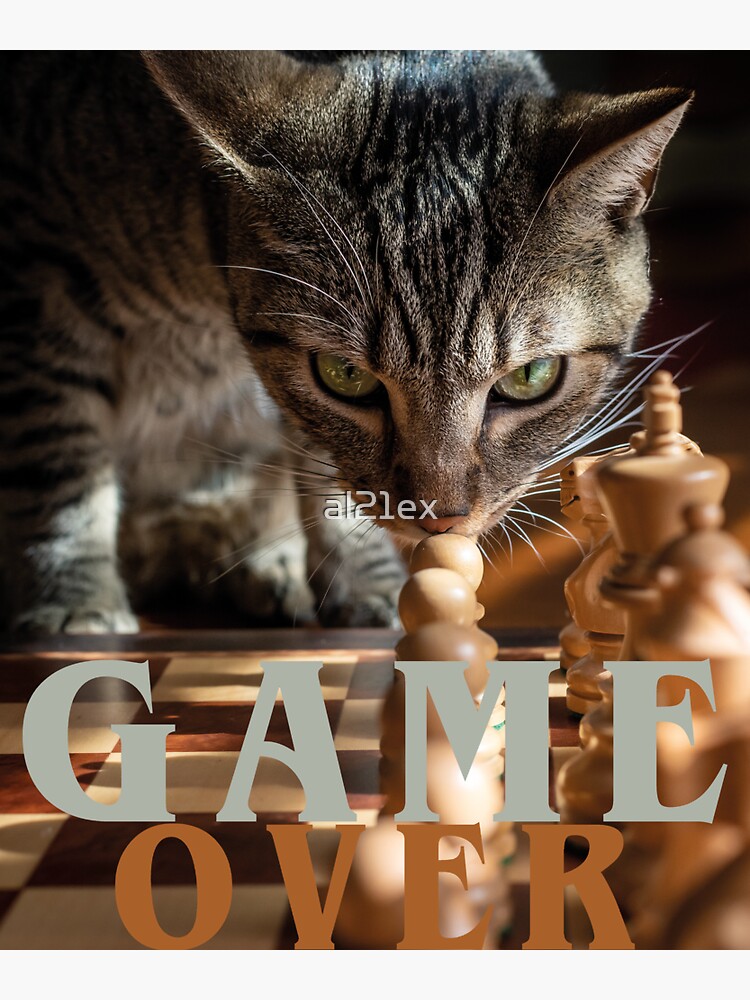 "Game Over Chess " Sticker for Sale by al21ex | Redbubble