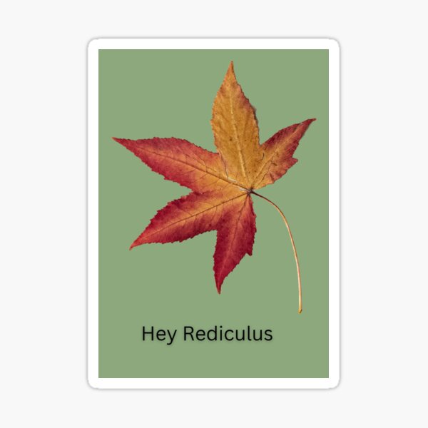"how ridiculus" Sticker for Sale by piyushchauhan | Redbubble