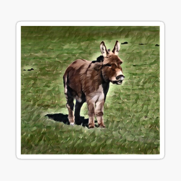"Donkey Call In Slumber" Sticker for Sale by Fearless-Fox | Redbubble