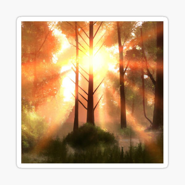 "God rays in the forest" Sticker for Sale by JaHuaRoPoD | Redbubble