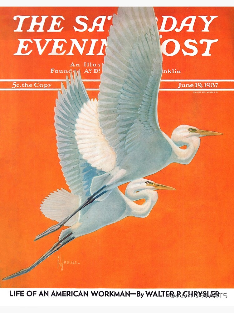 White Egre In Flight Covers Posters for Sale | Redbubble