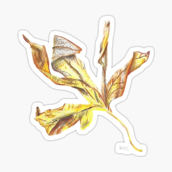 "Autumnal leaf" Sticker for Sale by LillaArtNature | Redbubble