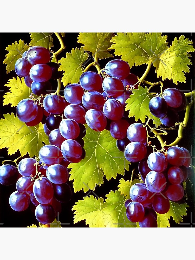 "Decorative Grape Art" Poster for Sale by BubbleCrumbs | Redbubble