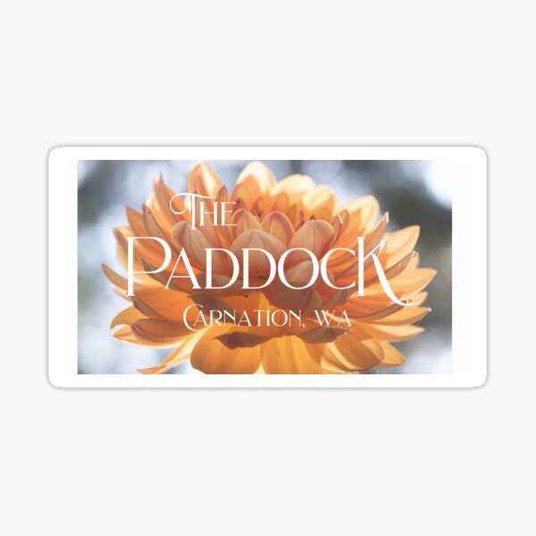 "The paddock floral logo" Sticker for Sale by ThePaddockMerch | Redbubble