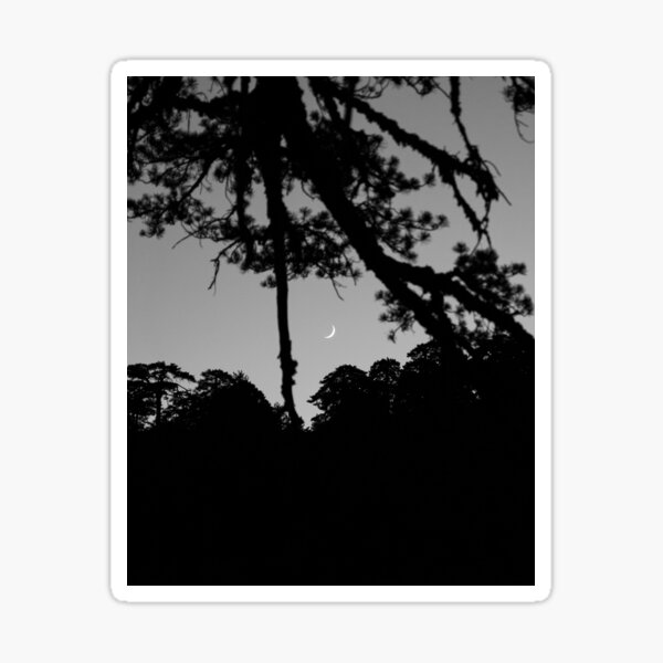 "Moon in forests Black And White Photograph" Sticker for Sale by ...