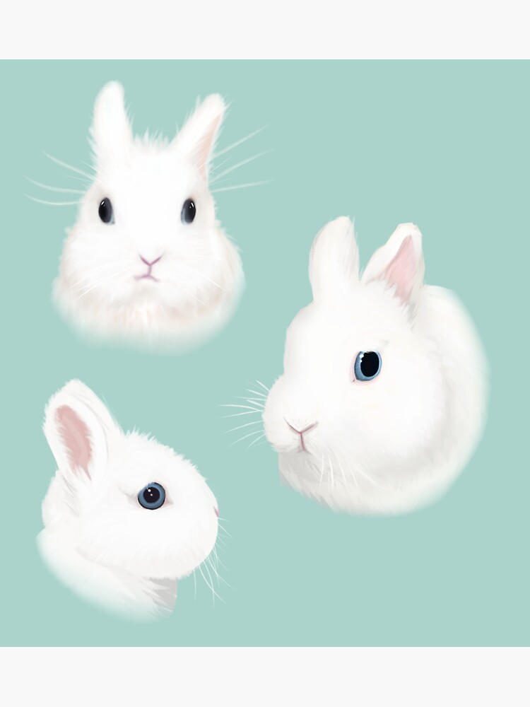 "White bunny" Sticker for Sale by Leillun | Redbubble