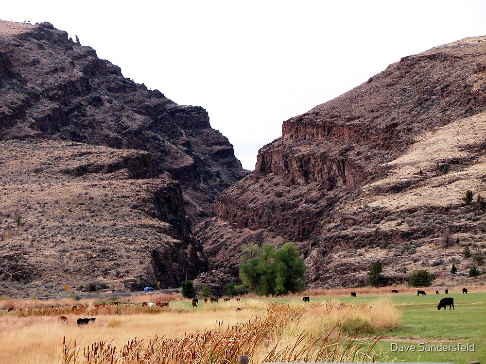 "Picture Gorge near Dayville Oregon" by Dave Sandersfeld | Redbubble