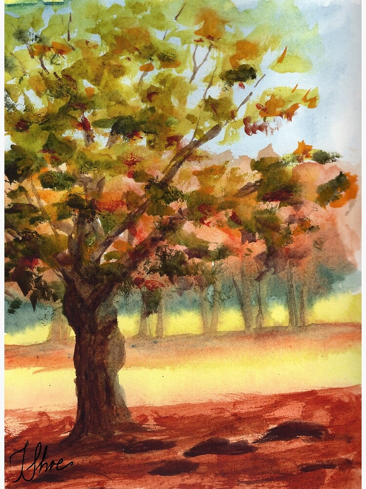 "Autumn Oak Tree" Poster for Sale by TaraShoemaker | Redbubble