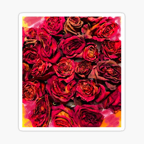 "Roses- Beauty For Ashes" Sticker for Sale by disneydivadeb | Redbubble