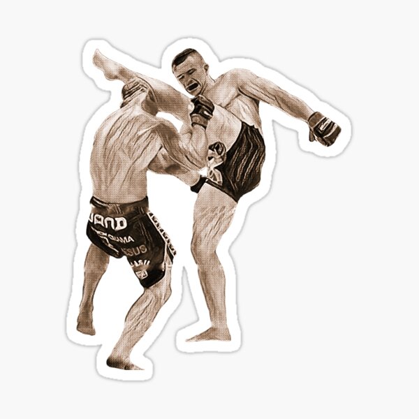 "Mirko vs Wanderlei" Sticker for Sale by RighttoFight | Redbubble